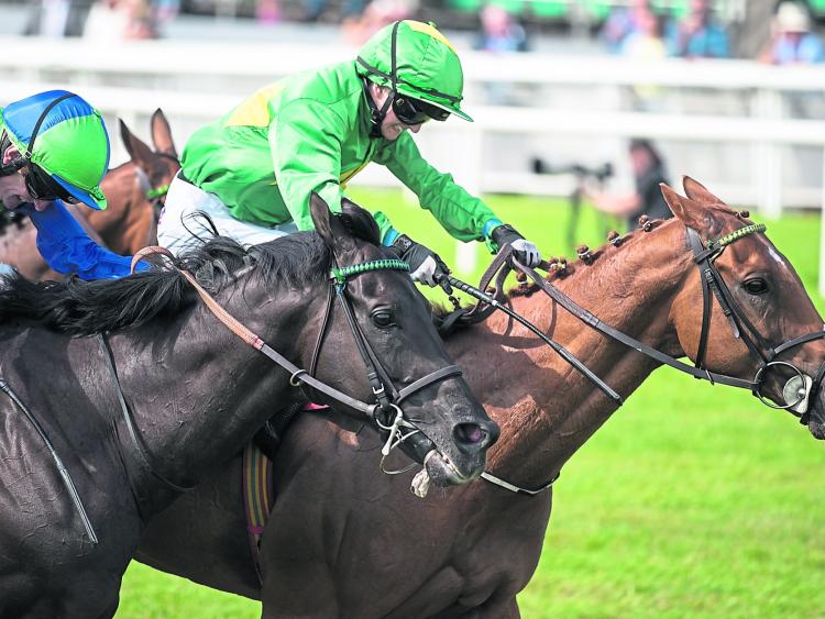 PUNTER'S EYE: Your weekend Horse Racing tips - Limerick Leader