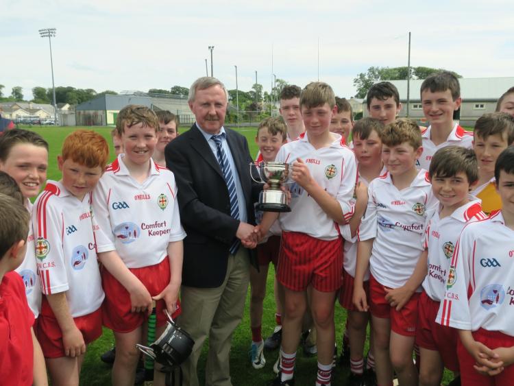 Limerick Leader Cup finals day preview - Limerick Leader