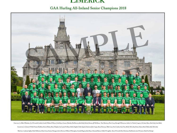 Limerick GAA reveal official All Ireland hurling team photograph ...