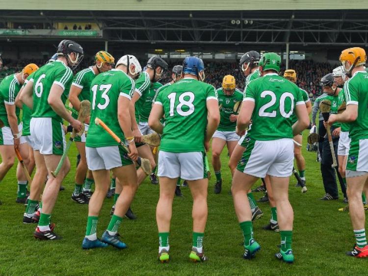 42-man Limerick hurling panel for 2019 includes seven newcomers ...