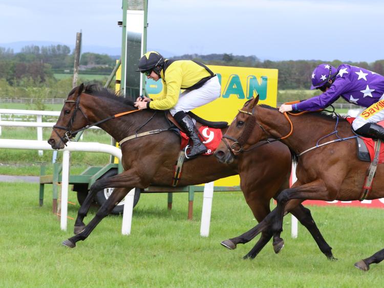 Limerick's Eric McNamara wins on home turf - Limerick Leader