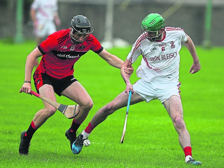 Limerick Senior Hurling championship - Team of the Week - Limerick Leader