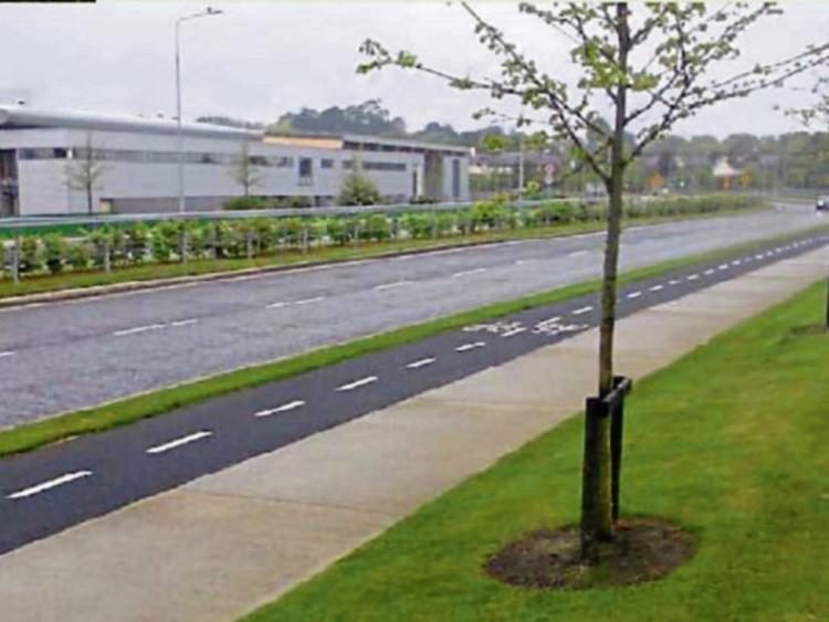 Limerick councillor predicts 'long wait' to progress Northern ...