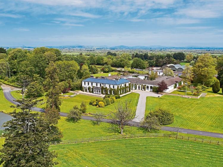 County Limerick stud farm continues to attract interest of ...