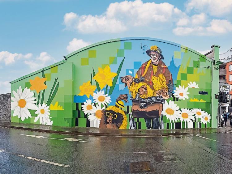Limerick’s Dodo immortalised in ‘epic’ street mural - Limerick Leader
