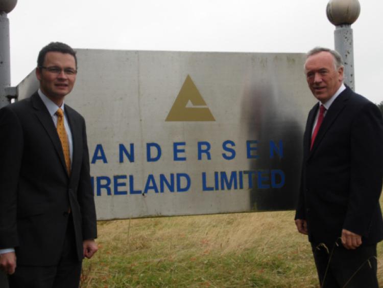 Former Andersen plant in Limerick to become jobs hub - Limerick Leader
