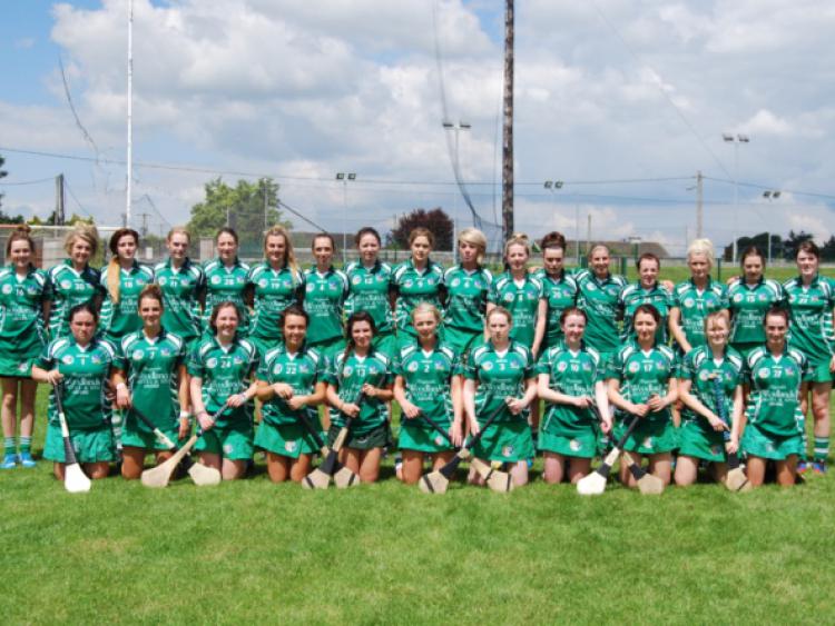 Limerick chase All Ireland camogie final spot - Limerick Leader