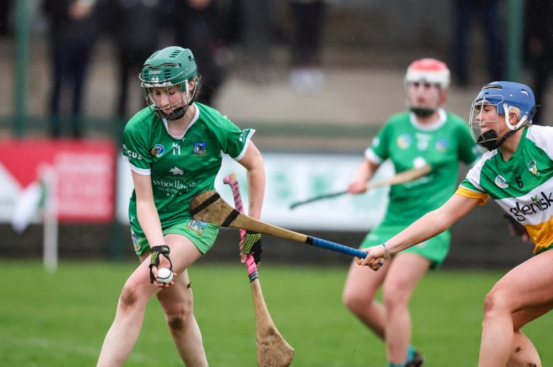 Trio of Limerick camogie teams confirmed for weekend action - Limerick Live