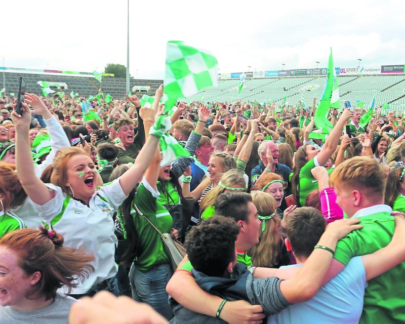 All you need to know about the Limerick All-Ireland hurling champions ...