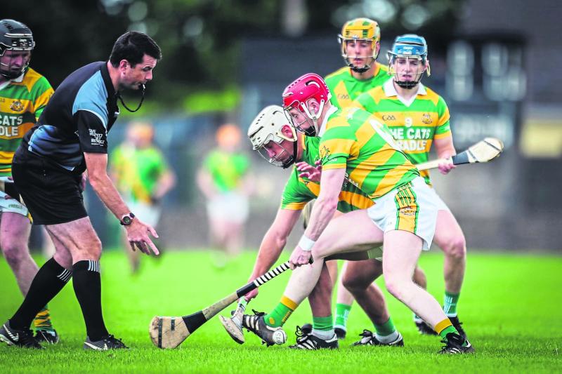LeaderSport Limerick SHC Team of the Week - Limerick Live