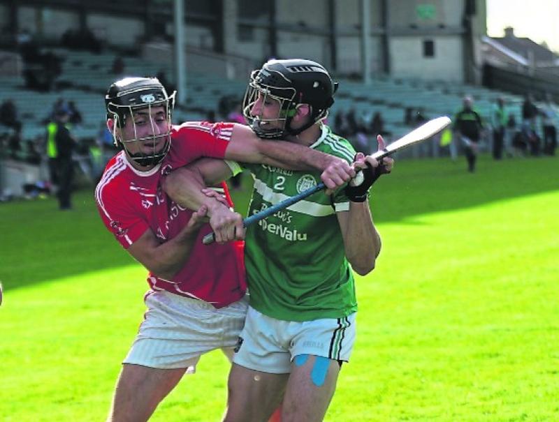 LeaderSport Limerick SHC Team of the Week - Limerick Live