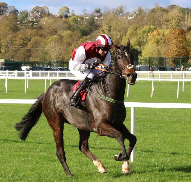 Successful week for Limerick racing with wins in Tramore and Cork ...