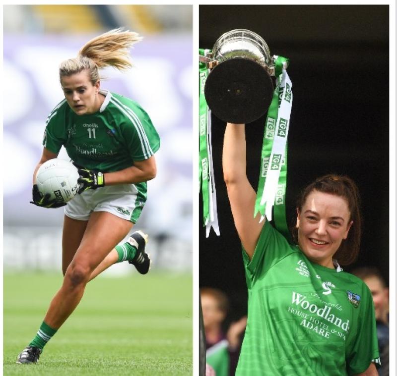 Limerick duo nominated for Player of the Year award - Limerick Live
