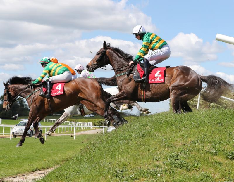 Blue Templar is highlight of Punchestown for Limerick's Enda Bolger ...