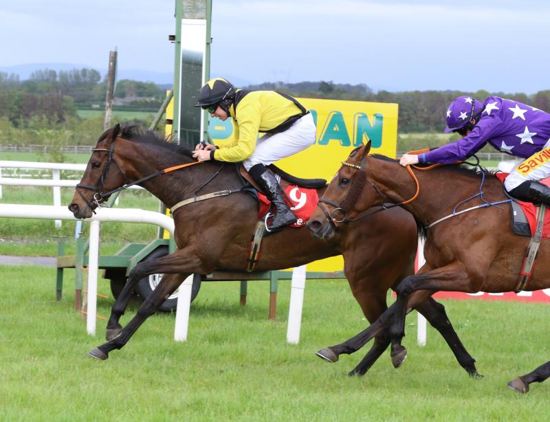 Limerick's Eric McNamara wins on home turf - Limerick Live