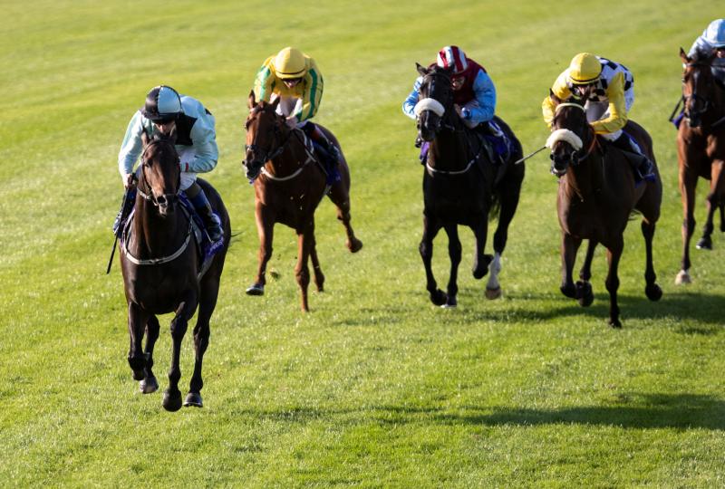 Limerick Horse Racing News: Chris Hayes wins five in a week - Limerick Live