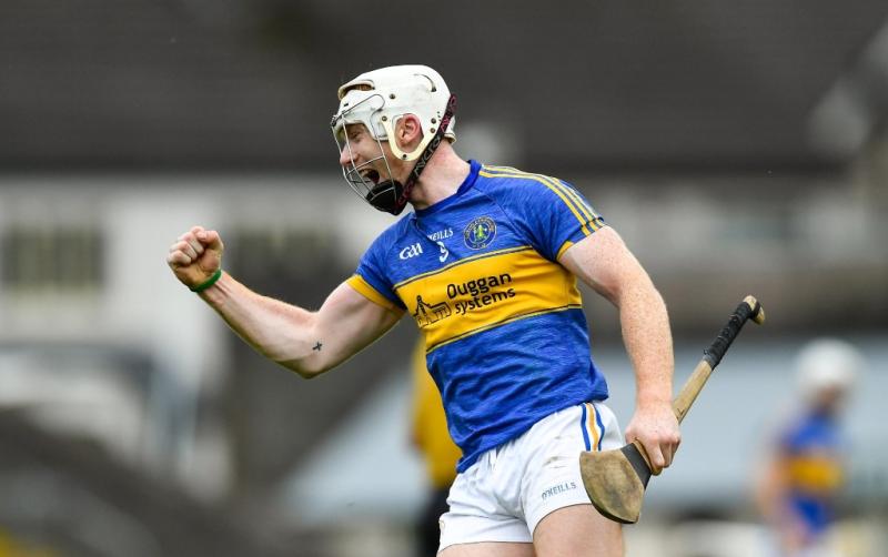 Limerick Senior Hurling Championship - Team of the Year - Limerick Live