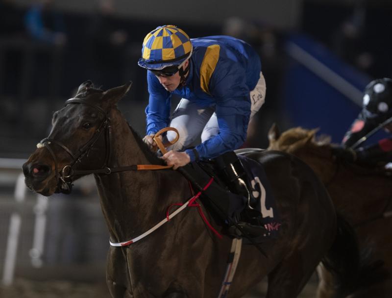 Limerick jockey Billy Lee lands Valentine's Night double at Dundalk ...
