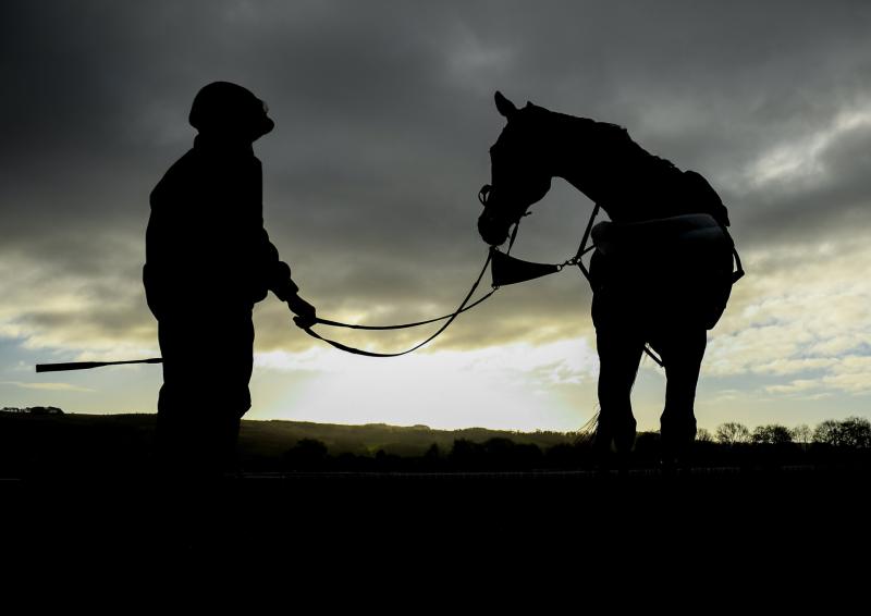 Limerick Leader Sport's Cheltenham Festival Tips - Day Two - Limerick Live