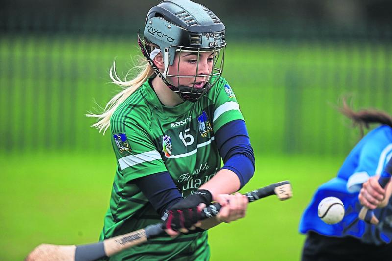 WATCH: Limerick camogie star challenges all to try audacious sideline ...