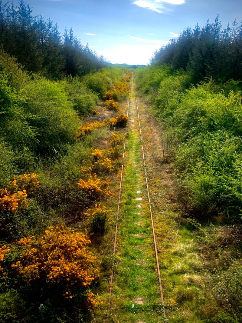 Thousands vote to select 'Limerick Leader 2km Challenge' winner ...