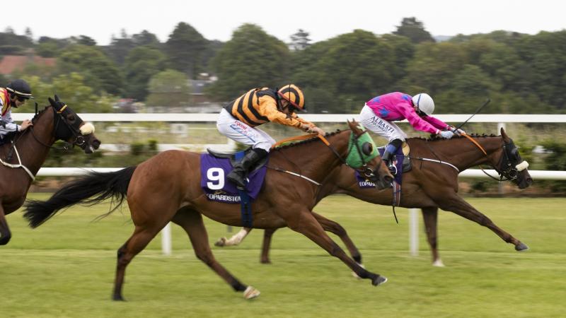 Horse Racing Ireland News: Multiple Limerick winners as racing returns ...