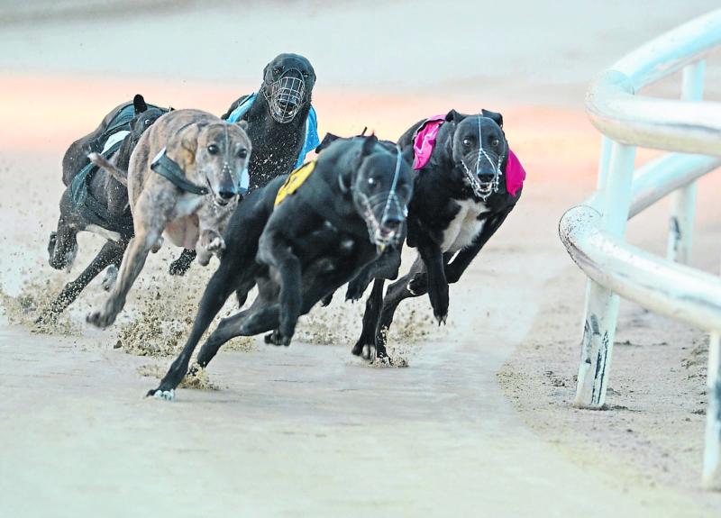 Local winners to the fore across two competitive racecards in Limerick ...