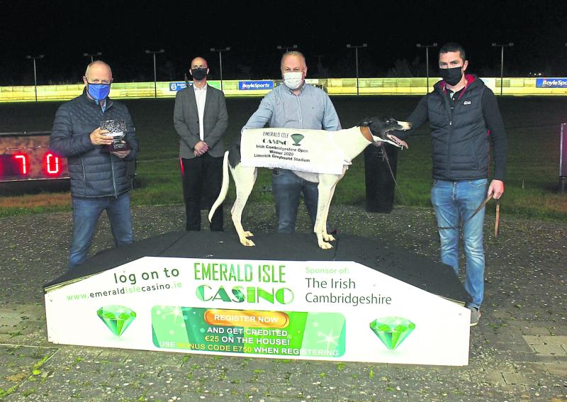 A new track record in Cambridgeshire final in Limerick Greyhound ...