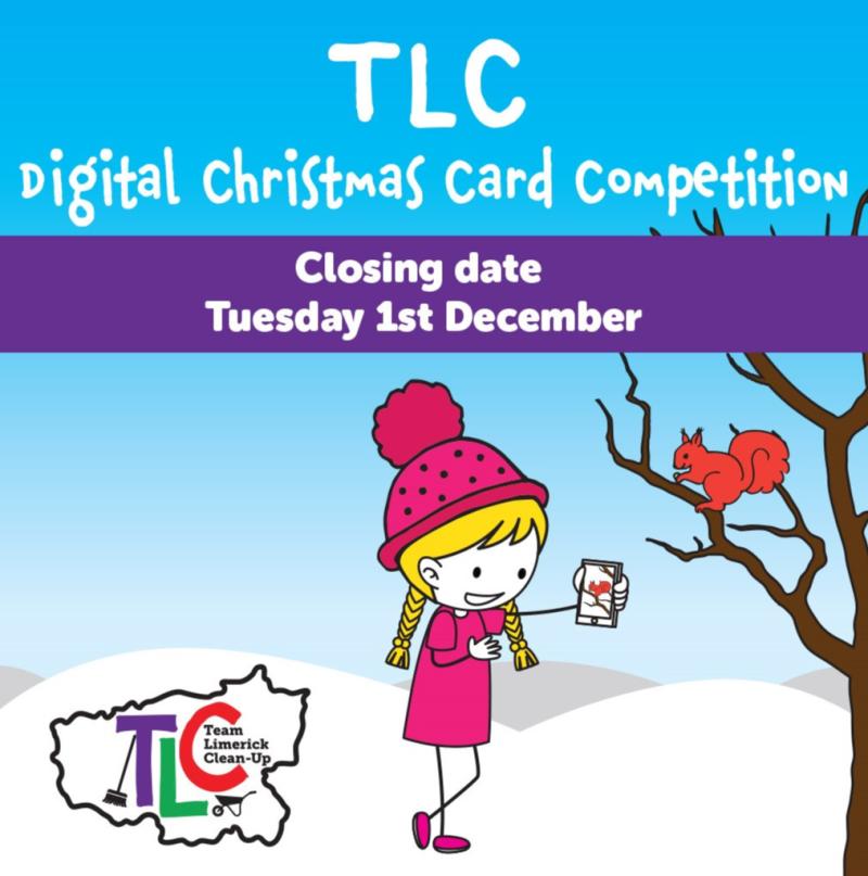 Team Limerick Clean-Up launches 'digital' Christmas card competition ...