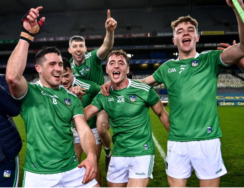 Commemorative fundraising 'number plate' for Limerick hurlers available ...