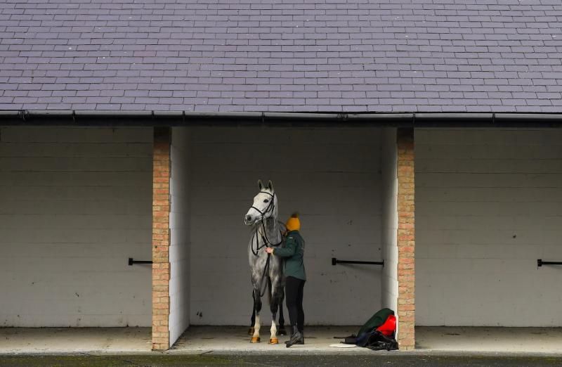 Horse Racing Ireland announce funding to increase stable yard sizes ...