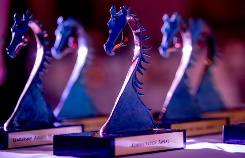 Nominations now open for Horse Racing Ireland 'Stud and Stable Staff ...