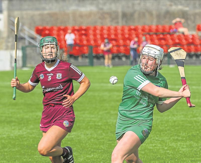 Limerick senior camogie squad for 2023 confirmed - Limerick Live
