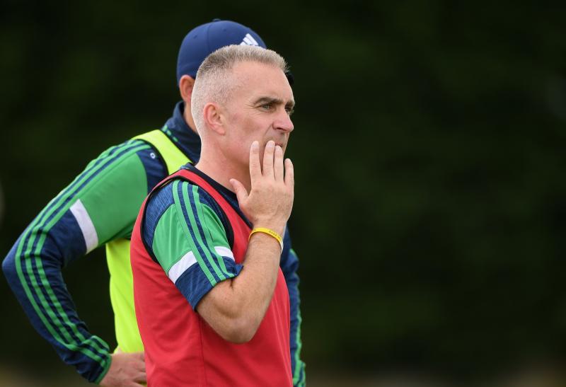Limerick camogie confirm departure of inter-county team manager Pat ...
