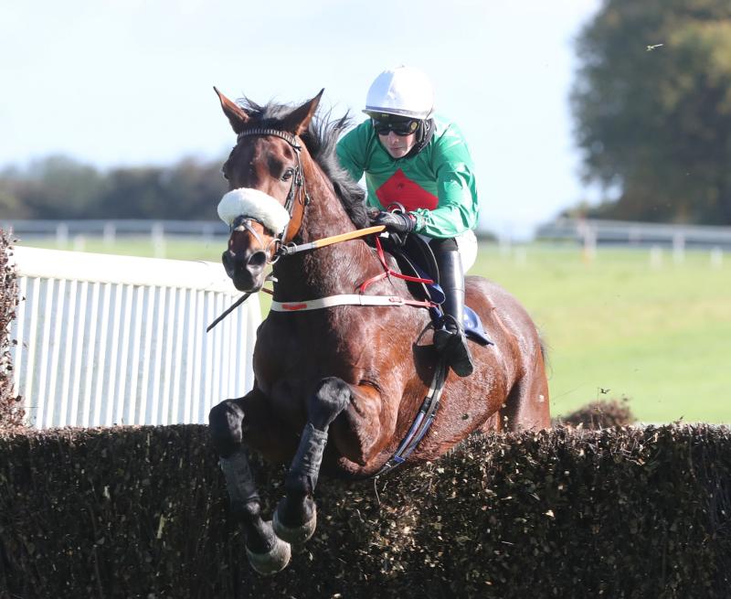 Limerick jockey Billy Lee on verge of half-century - Limerick Live