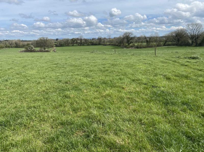 Limerick farming: Put your name down for Bettyville - Limerick Live