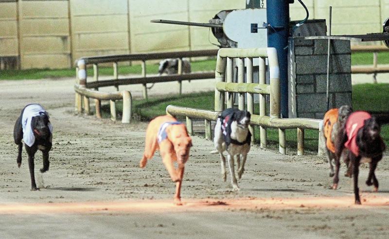 New title sponsor announced for Irish St Leger at Limerick Greyhound ...