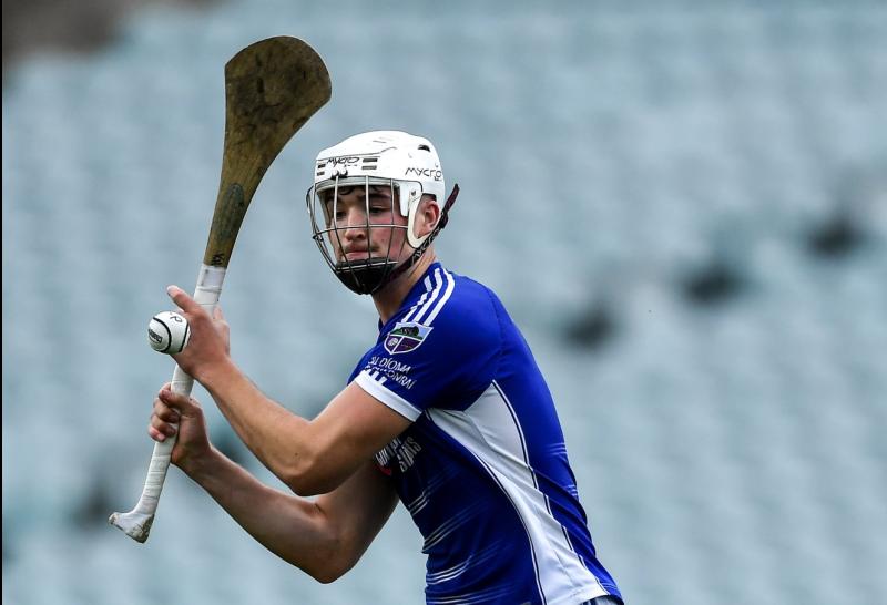 Kyle Hayes hit 10-points as Kildimo-Pallaskenry victory relegates ...