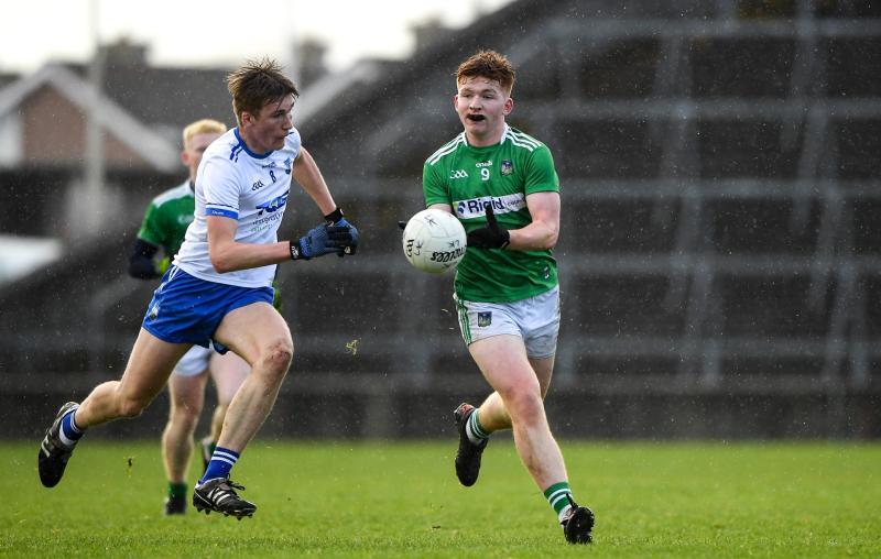 Kelly names Limerick team for Connor Cup tie with Offaly - Limerick Live