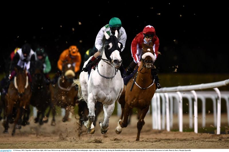 RACING: Top tips and analysis for Friday's card at Dundalk - Limerick Live