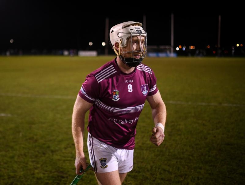 Cian Lynch and six players from UL in Fitzgibbon Cup hurling Team of ...
