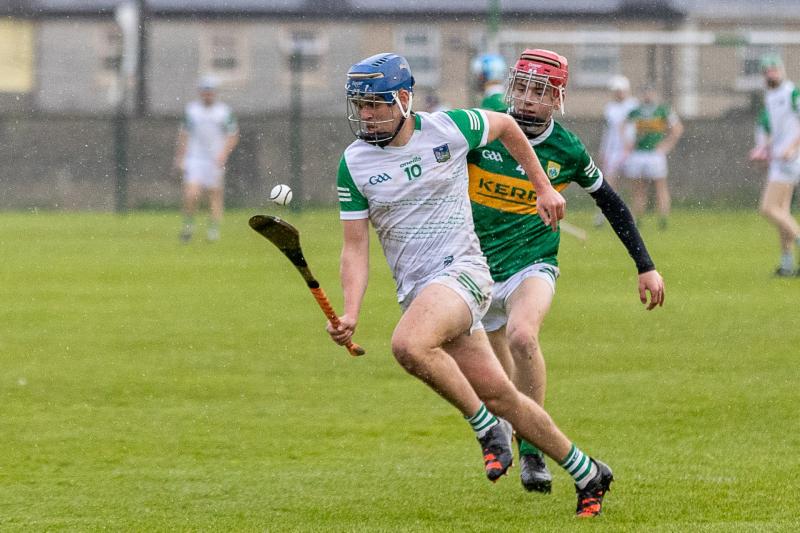 Limerick minor hurling team selected for Munster Championship quarter ...