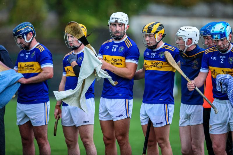 Patrickswell into Limerick club hurling quarter final with late scoring ...