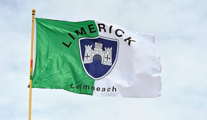 Two Limerick clubs go in search of glory in Munster Ladies Football ...