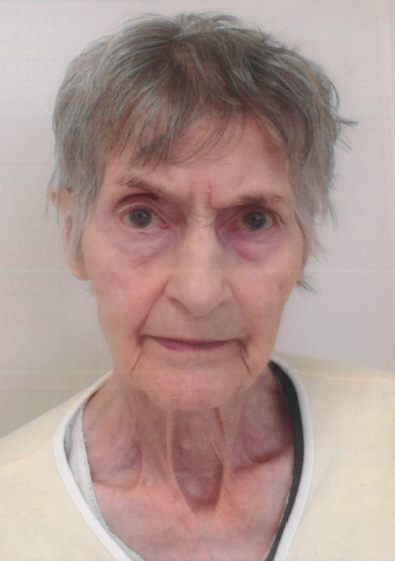 Updated: Search for missing 87-year-old woman stood down following discovery of body - Limerick Live