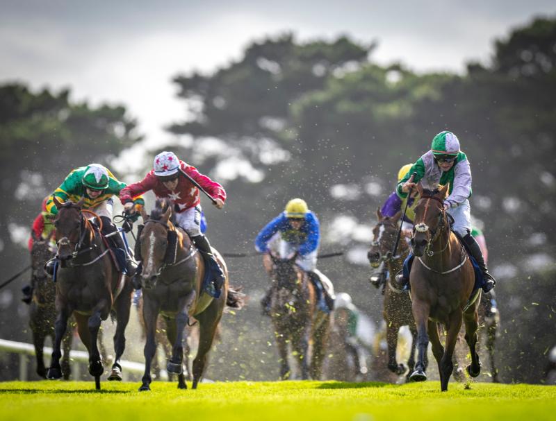 Limerick jockeys, trainers and owners in the winners enclosure at the ...