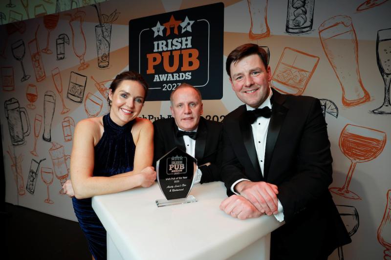 Limerick pubs win top prizes at Irish Pub Awards - Limerick Live