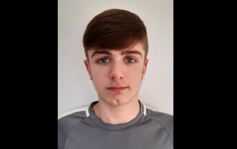 ALERT: Gardai launch search for 14-year-old boy missing since before Christmas - Limerick Live