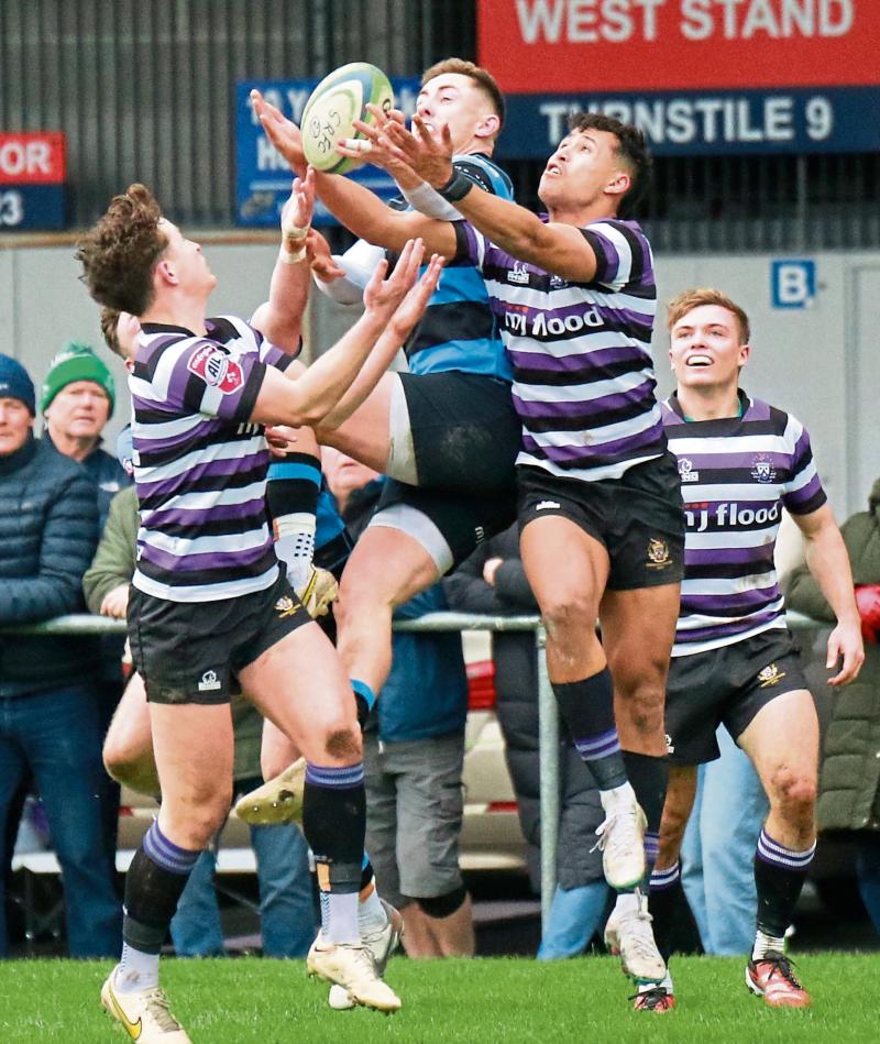 Six Limerick clubs chase crucial All-Ireland League wins - Limerick Live