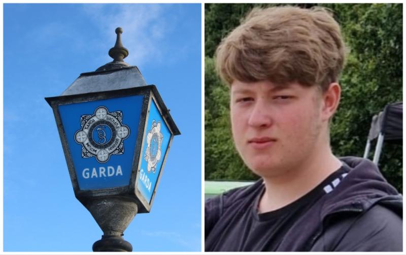 Gardaí issue appeal to find missing teenager not seen by family since last week - Limerick Live